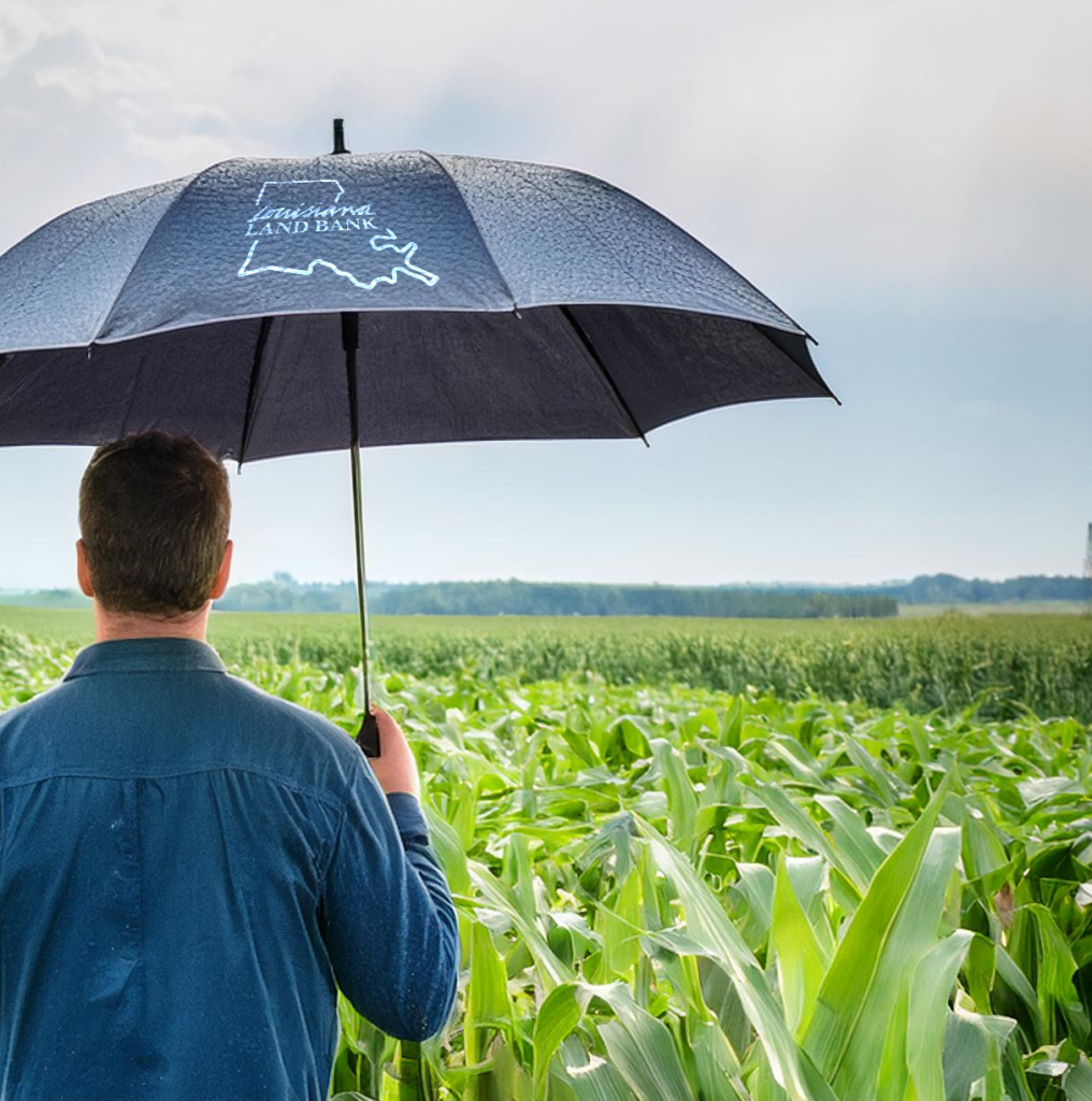 Crop Insurance - Louisiana Land Bank
